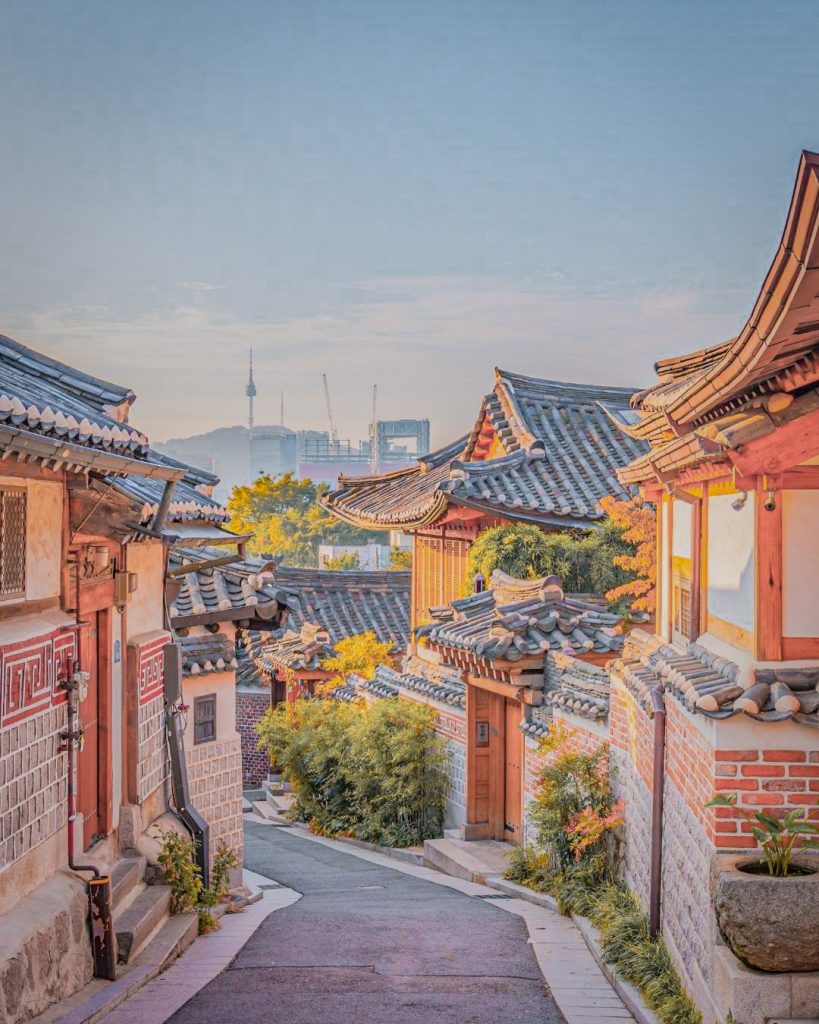 Link Tree Wishtravelers Wt