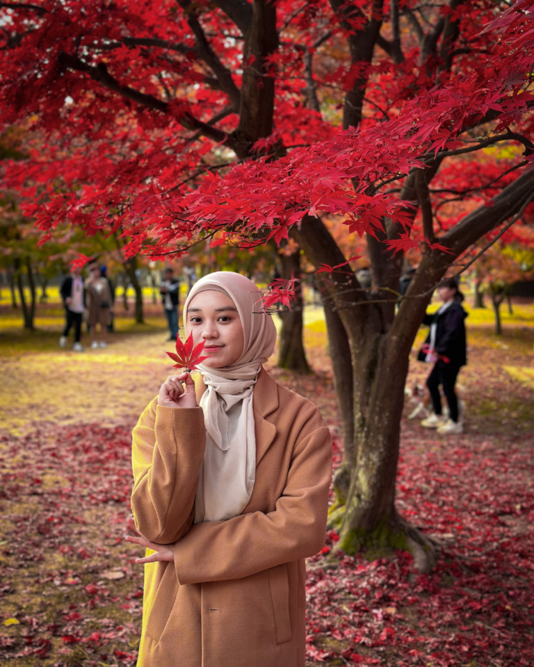 Paket Wisata ke Asia Lengkap - Promo Tour ke Asia 2024-2025